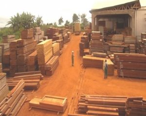 Government orders Contractors to use "legal" Cameroonian wood in the ...