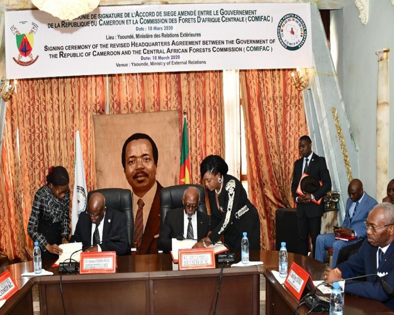 COMIFAC adopts 2021-2025 Operational plan - CEMAC ECO FINANCE