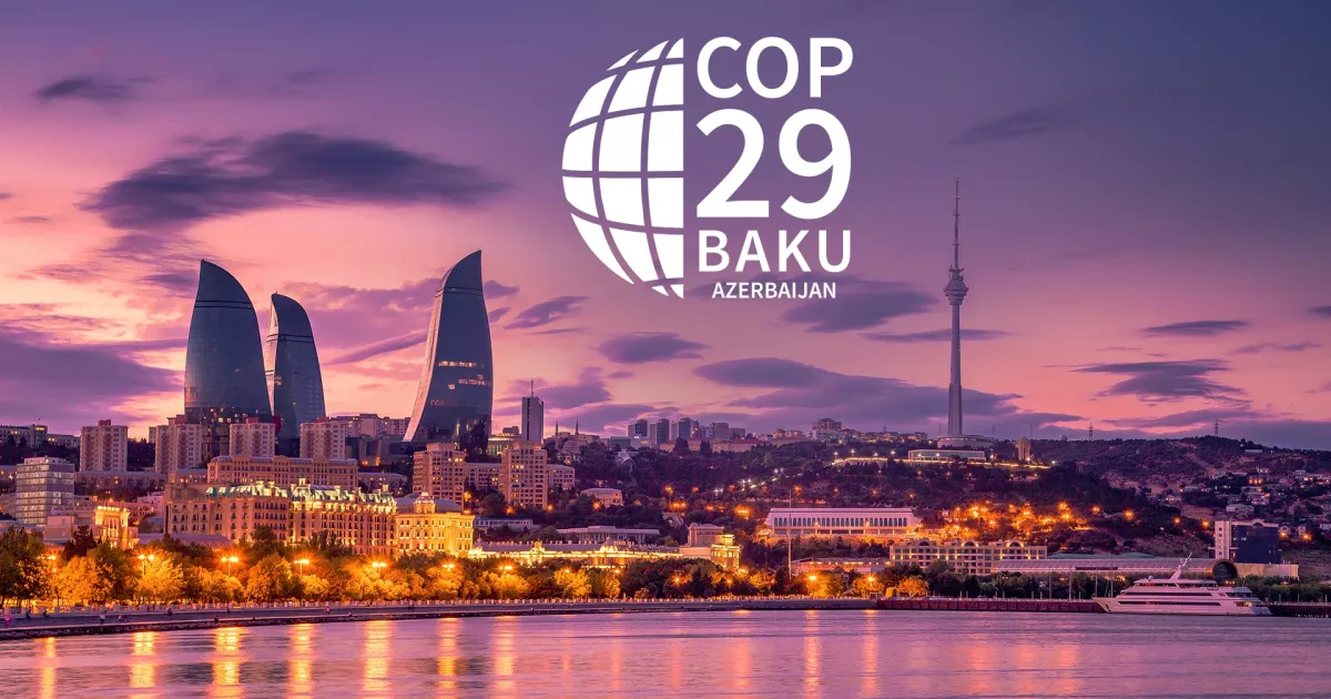 COP29 in Baku: A Turning Point for Climate Action in Africa? - CEMAC ...